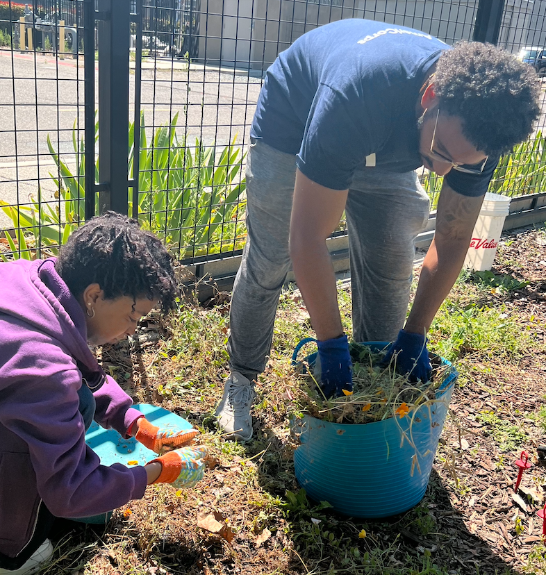 PATHWAYS - StocktonScholars